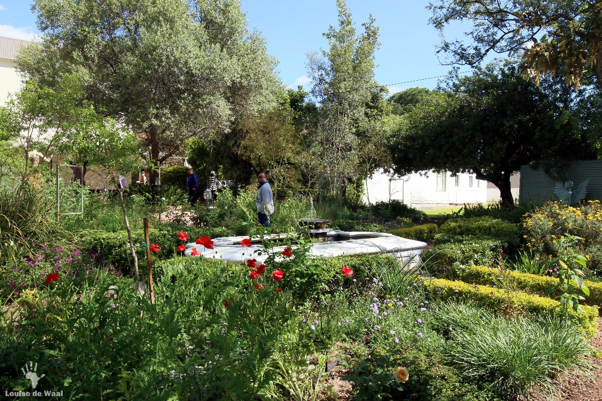 5 fabulous attractions in Paarl & Wellington besides wine | Green Girls ...